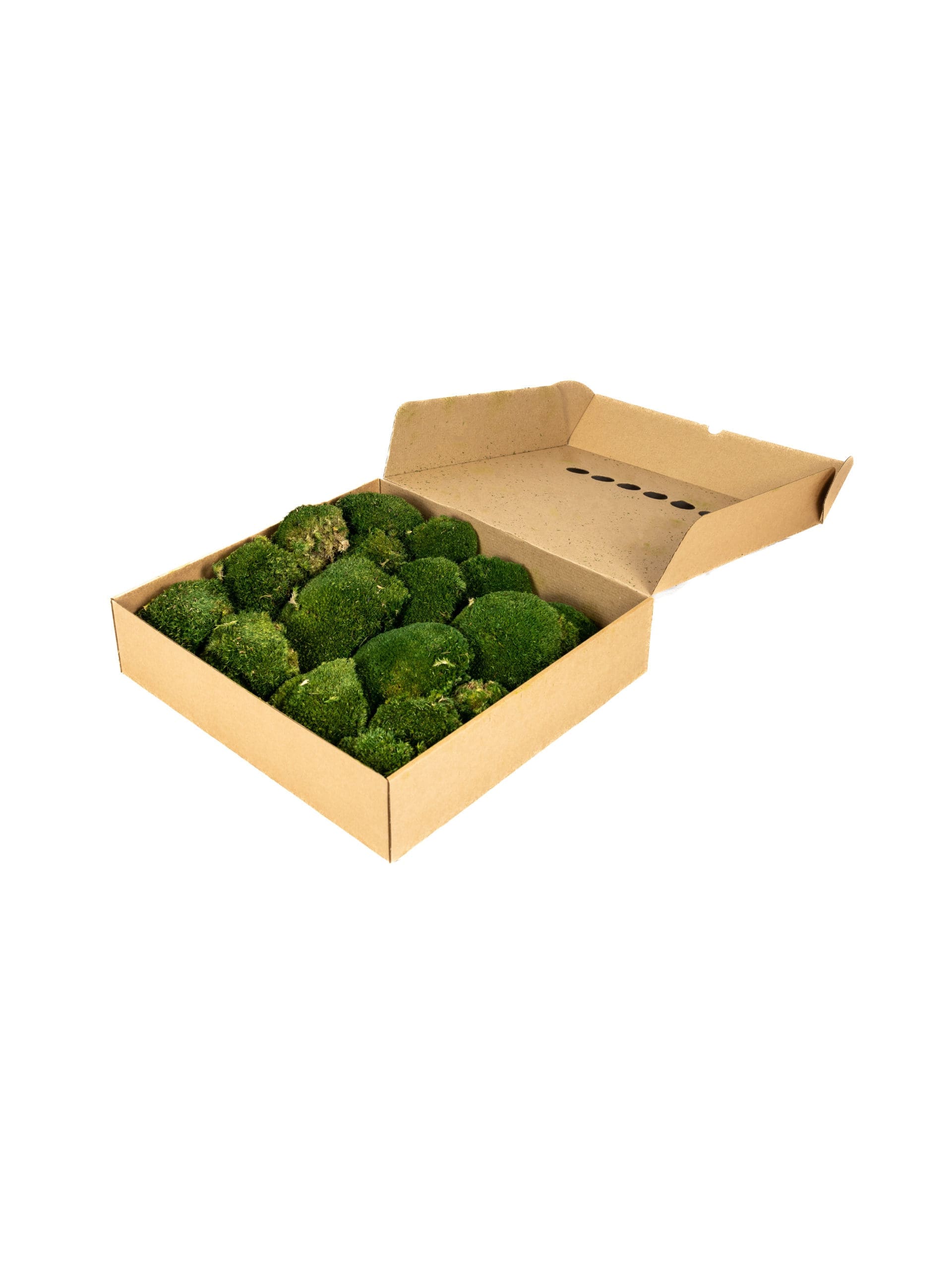 Pole Moss Dark Green CA (1 lb WB) | ByNature - Wholesale