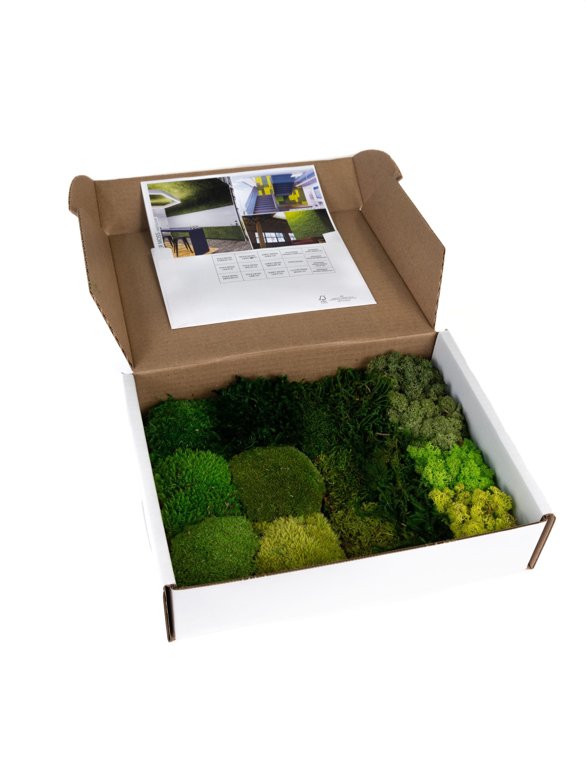 Sample Mix Moss | ByNature - Wholesale