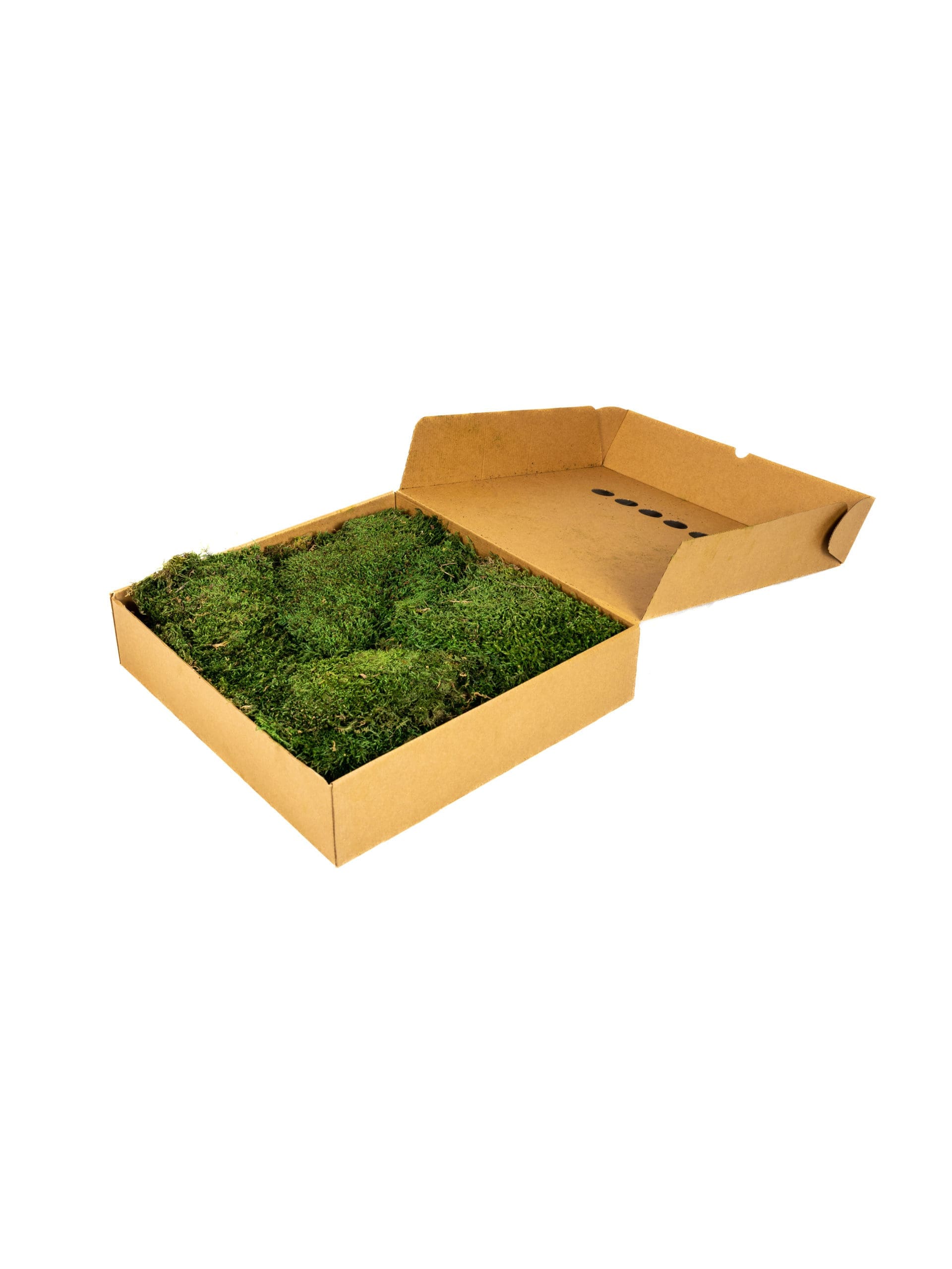 Sheet Moss Dark CA (1 lb WB) | ByNature - Wholesale