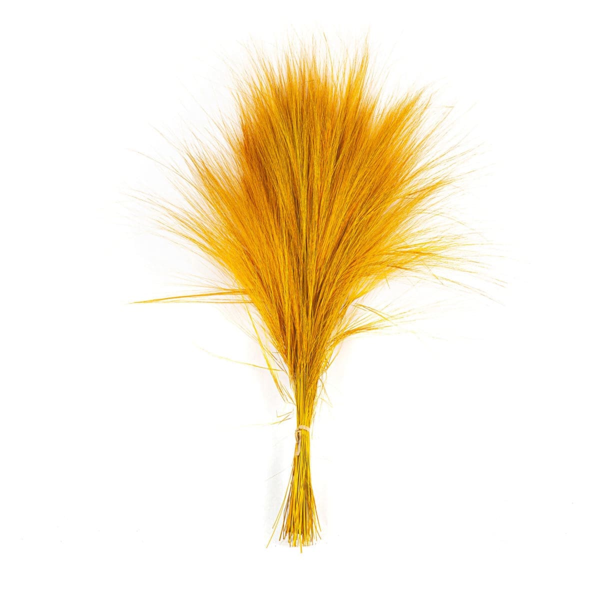 Preserved Foliage | ByNature - Wholesale