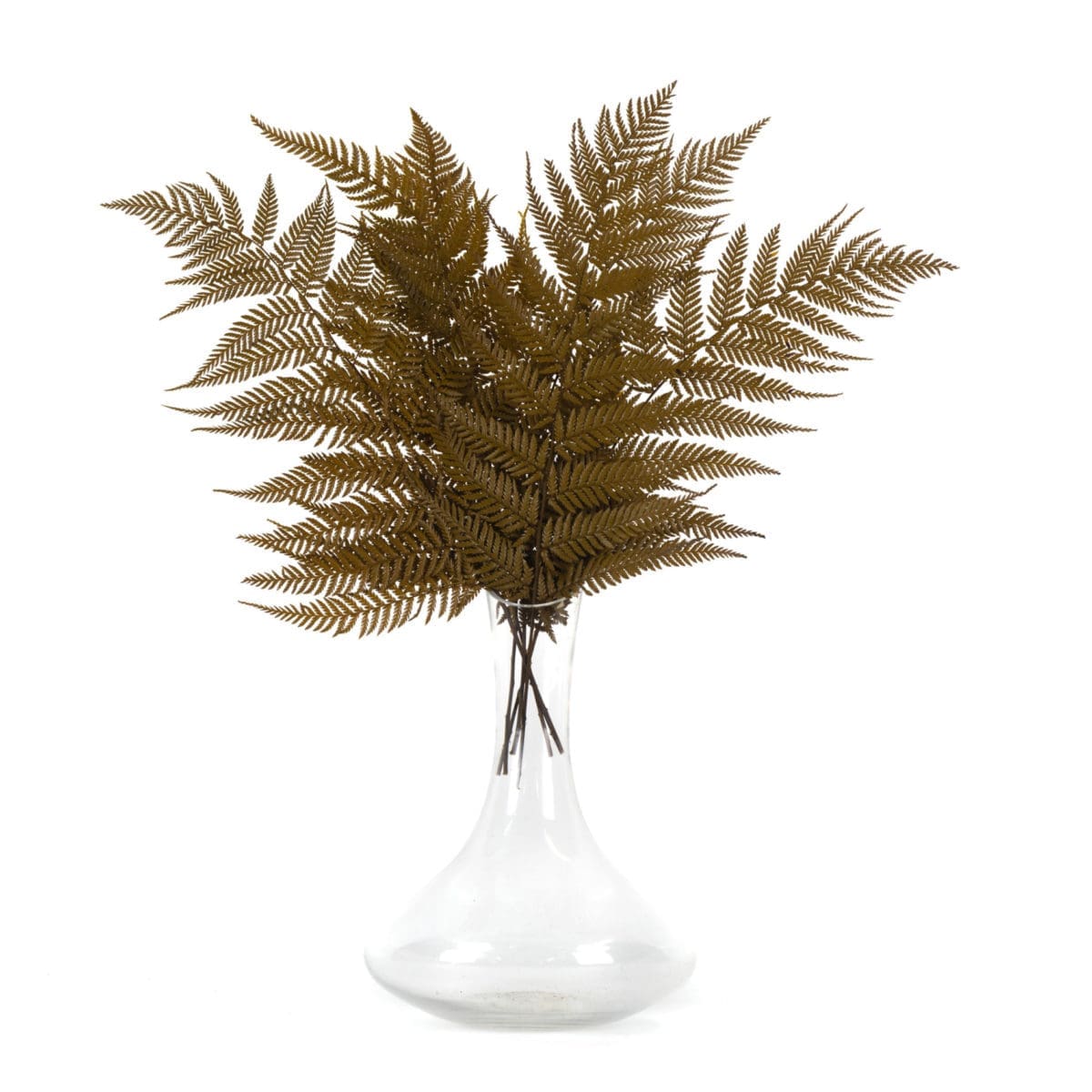 Preserved Ferns | ByNature - Wholesale