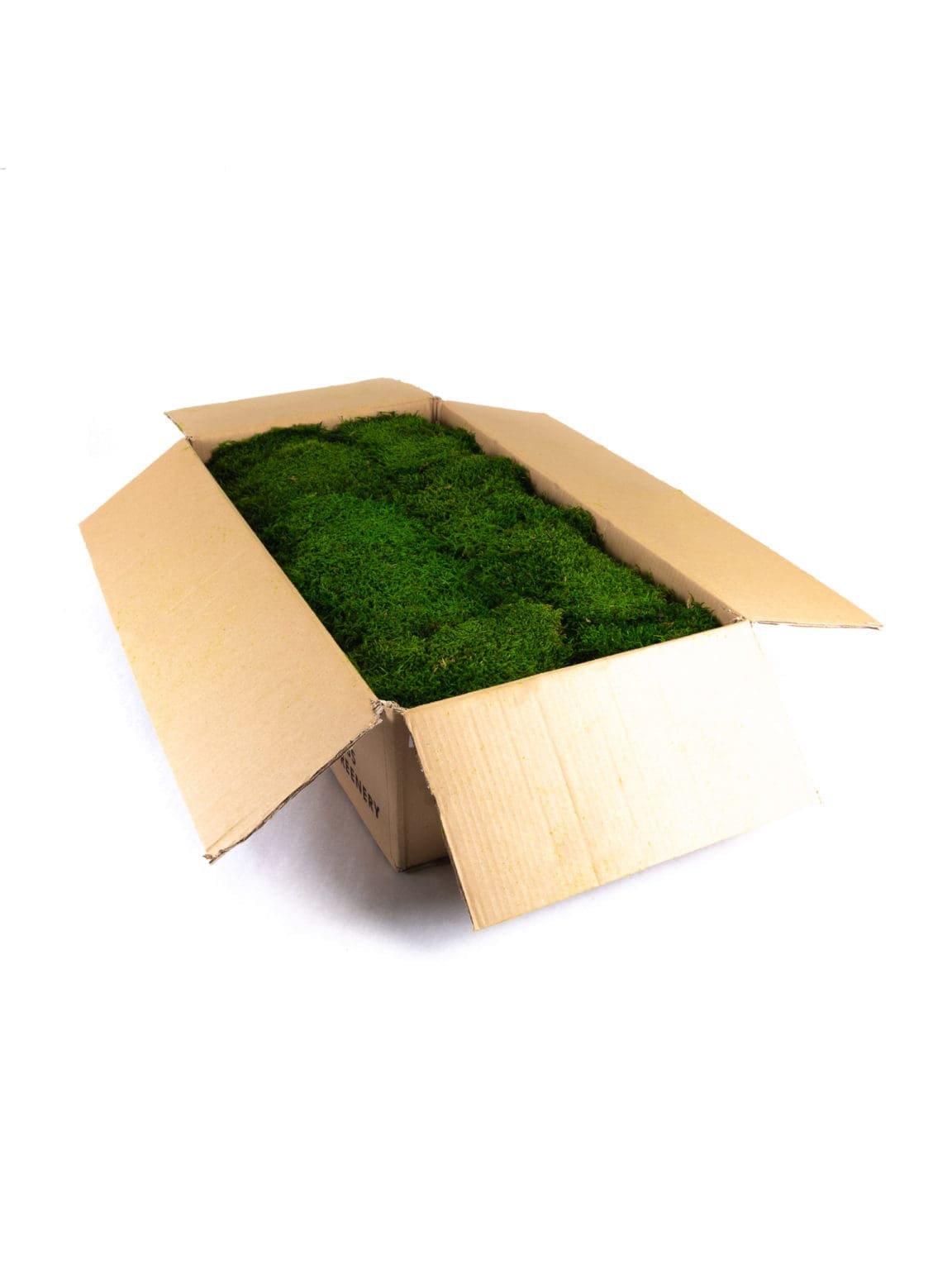 Sheet Moss Medium IS (8 lbs MB) | ByNature - Wholesale