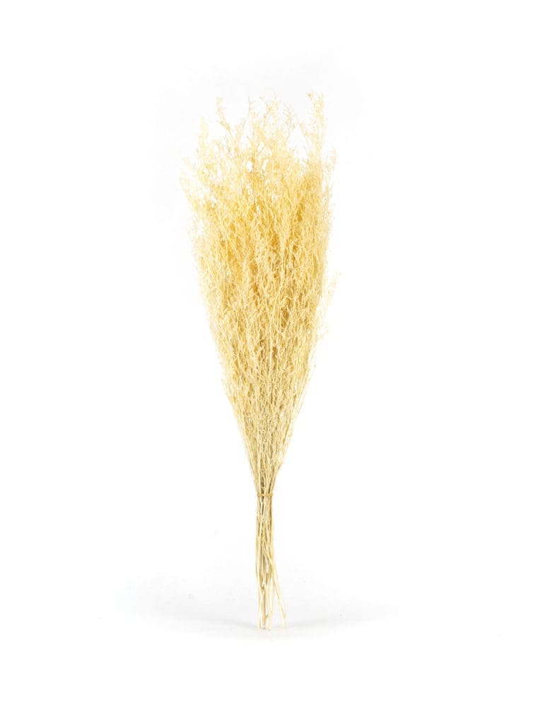 Caspia White NI | ByNature - Wholesale